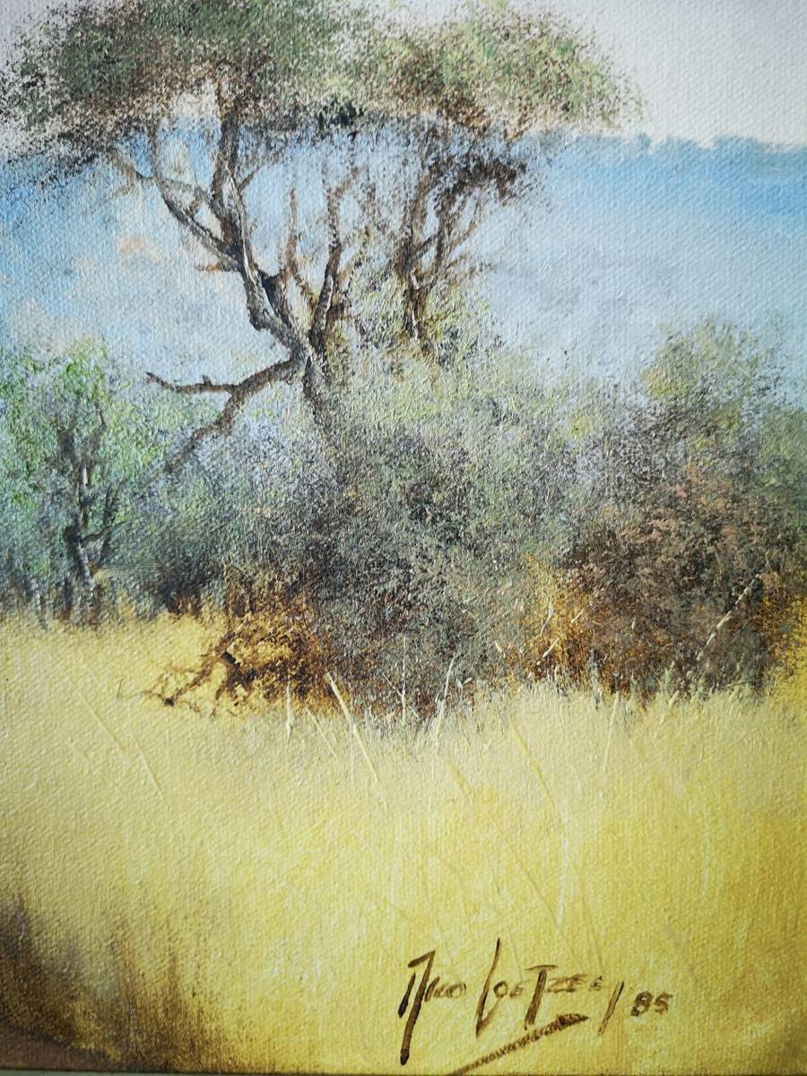 Paintings - Nico Coetzee (SA ) oil on board landscape, signed `85 was ...