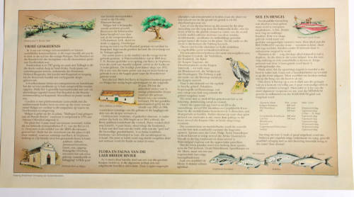 Maps - Malgas Breede River Pictorial Map and History Poster for sale in ...