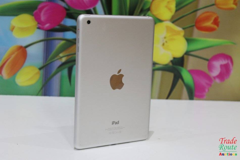 Devices - Apple iPad mini 1 with Wi-Fi 16GB (Silver) (MD531ZP/A) * Only ...